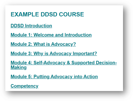 DDSDCourseOverview