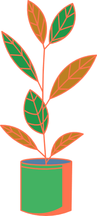 03 DDSD Wellness Visit Training - After the Visit